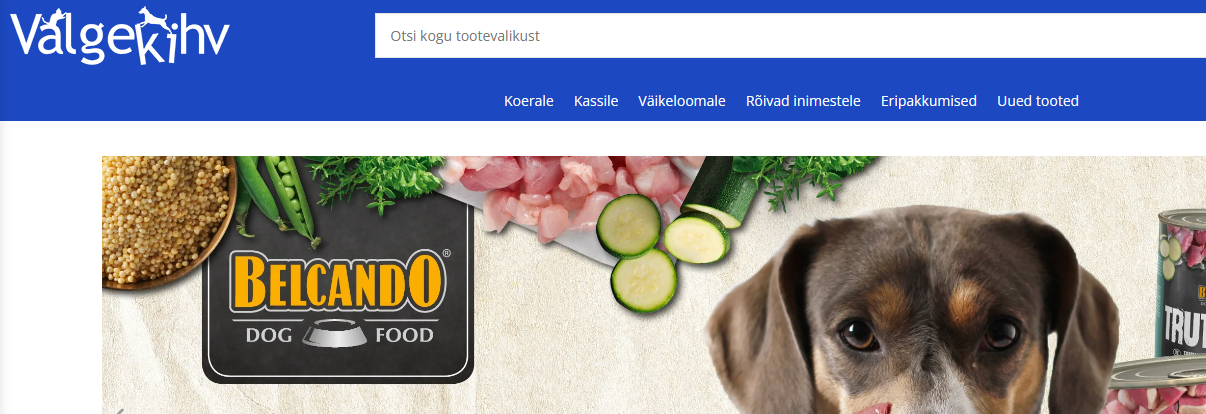 Kõik aktiivsed Valgekihv sooduskoodid [2025]